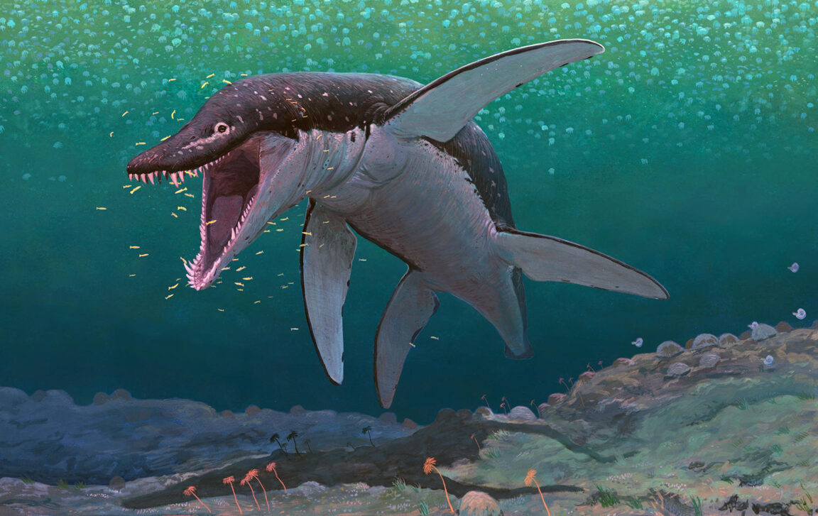 Surprise du monstre marin : les restes d'un ancien pliosaure Défient ce ...