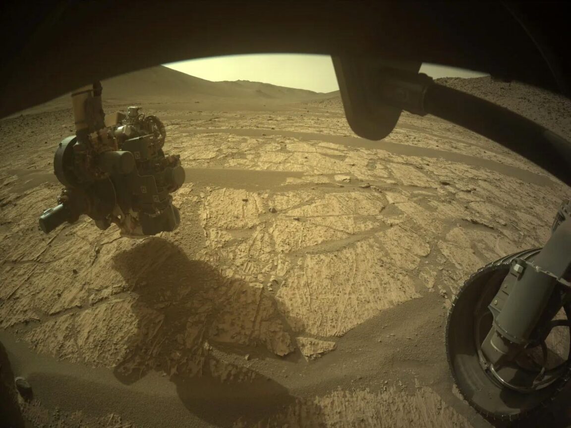 Le rover Perseverance Mars Rover de la NASA dévoile les mystères ...