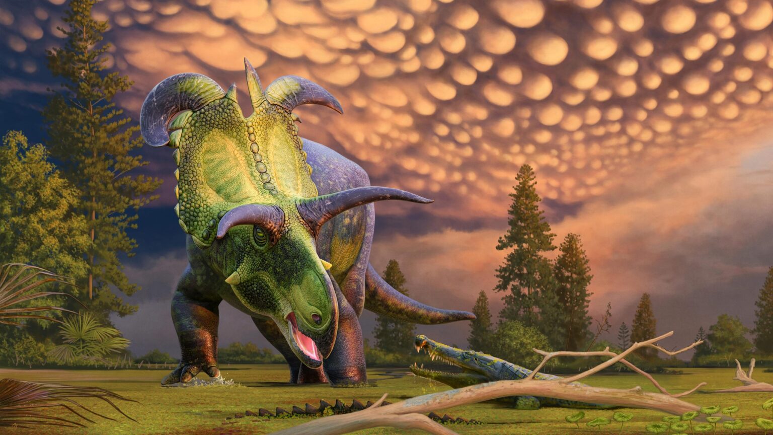 Découvrez Lokiceratops : un nouveau dinosaure doté de cornes ...
