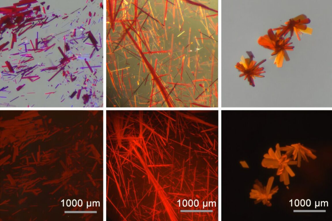 Les chimistes créent des colorants fluorescents rouges qui peuvent ...